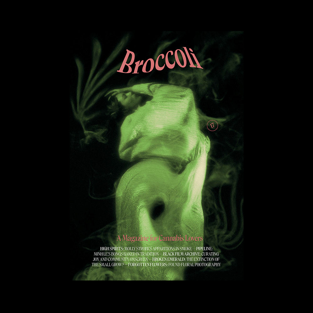 Broccoli Issue 17 – Plant Playground Broccoli Issue 17 – Plant Playground