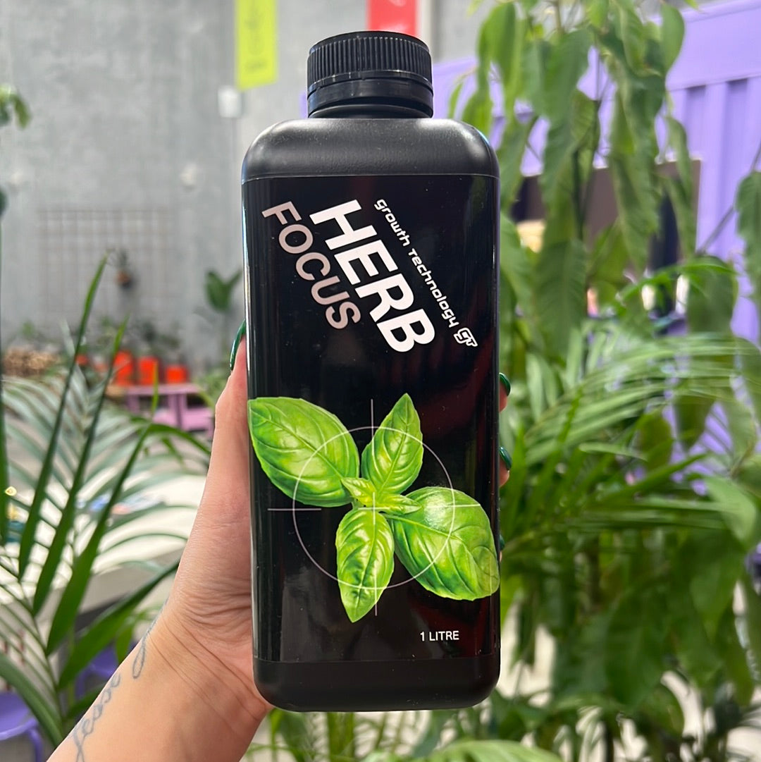 Herb Focus – Plant Playground