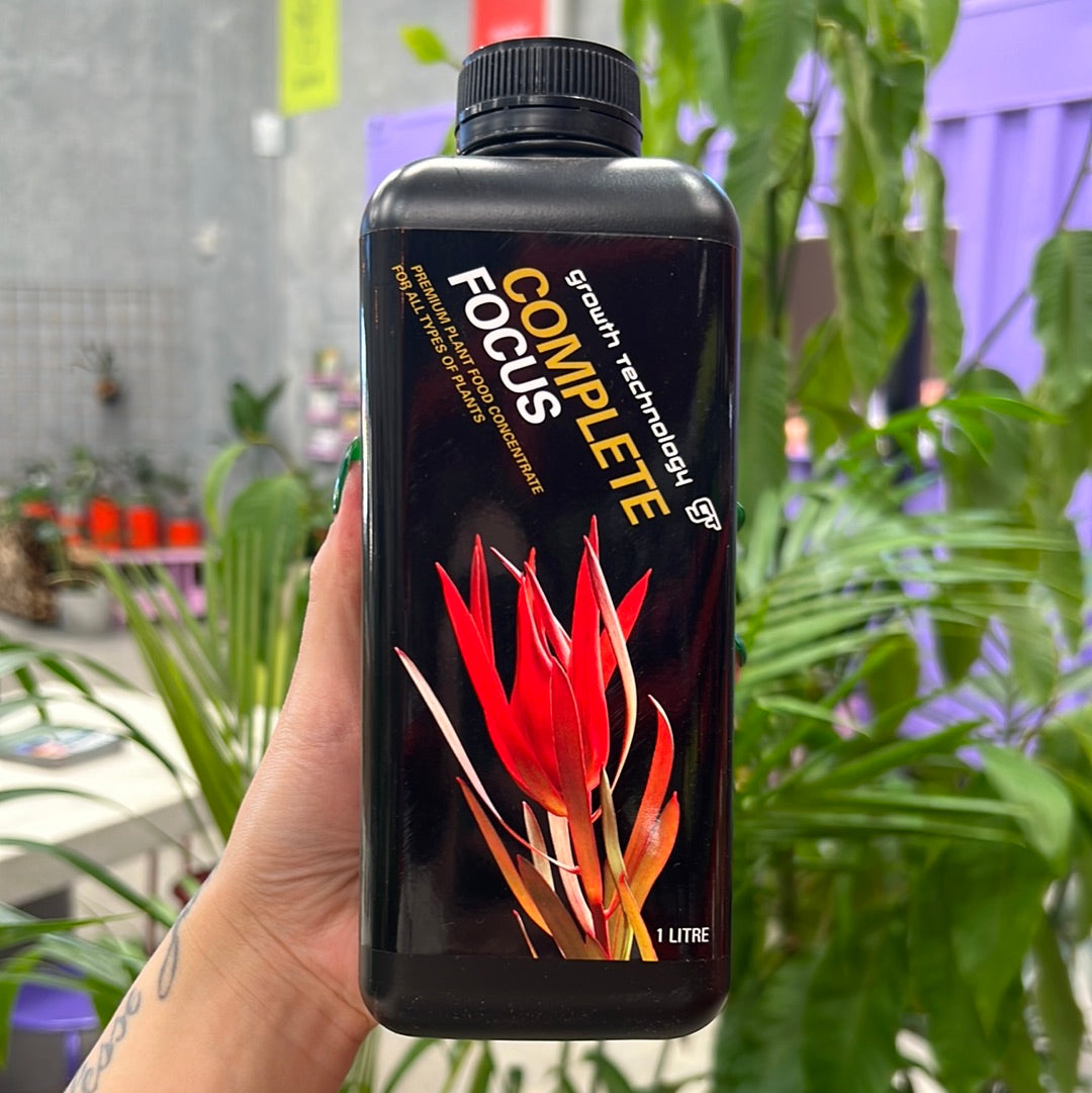 Complete Focus – Plant Playground