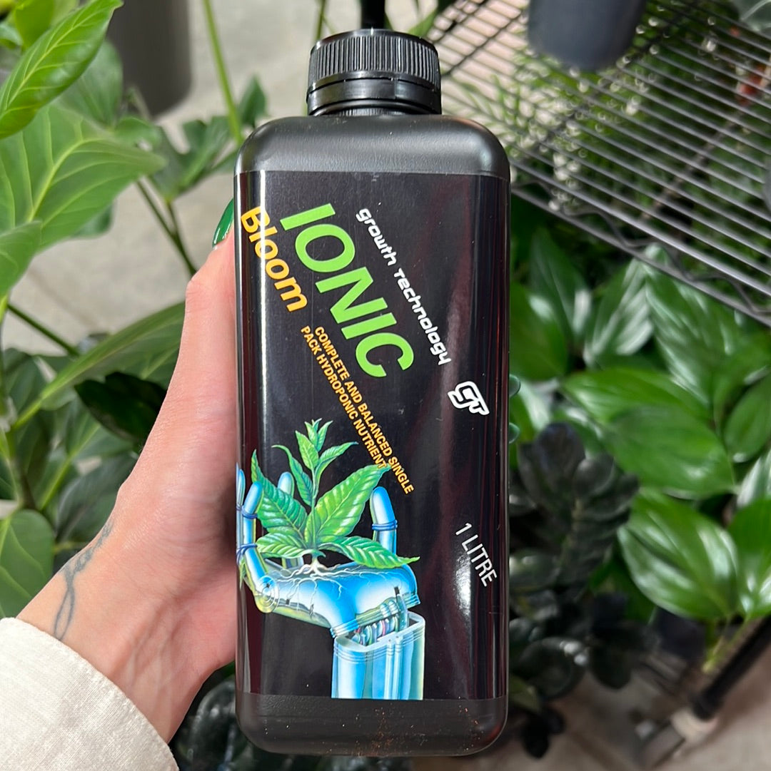 Ionic Bloom – Plant Playground